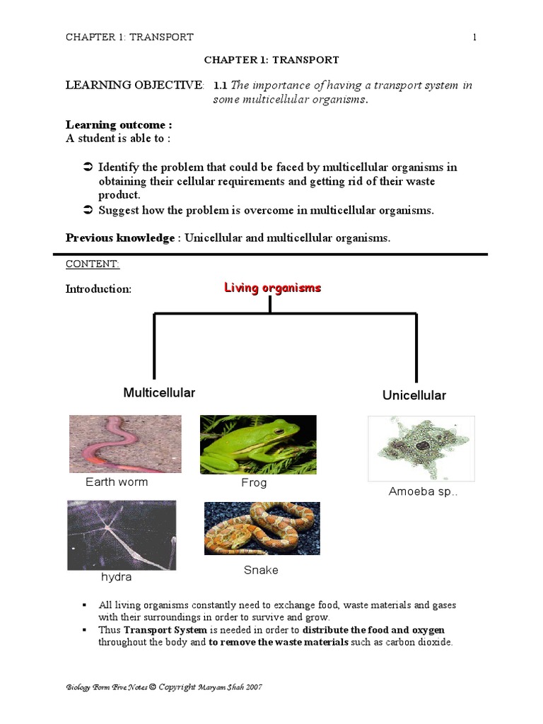 Learning Outcome:: The Importance of Having A Transport System in Some ...