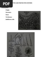Botany Practical Examination Key 2024 | PDF | Plant Stem | Vector ...