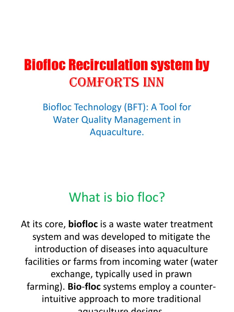 Development of A Biofloc System For The Production of Tilapia | PDF ...