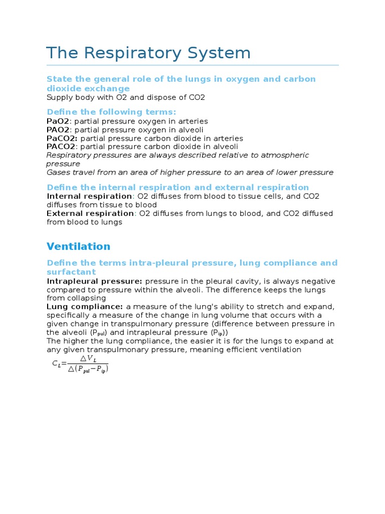 11 Respiratory System | PDF | Lung | Respiratory System