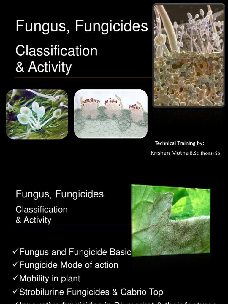 Fungus, Fungicides Classification & Activity: A Comprehensive Guide to ...