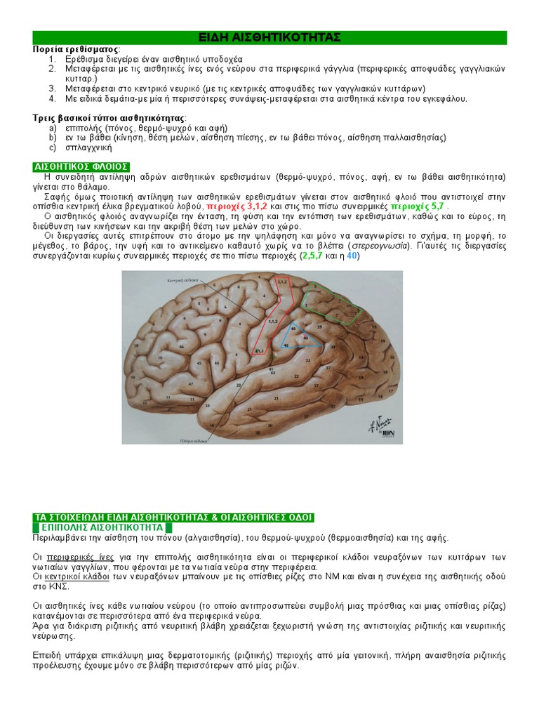 ΚΕΦΑΛΑΙΟ 7 - ΕΙΔΗ ΑΙΣΘΗΤΙΚΟΤΗΤΑΣ | PDF