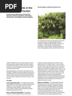 Seed Planting Guide & Companion Tips | PDF