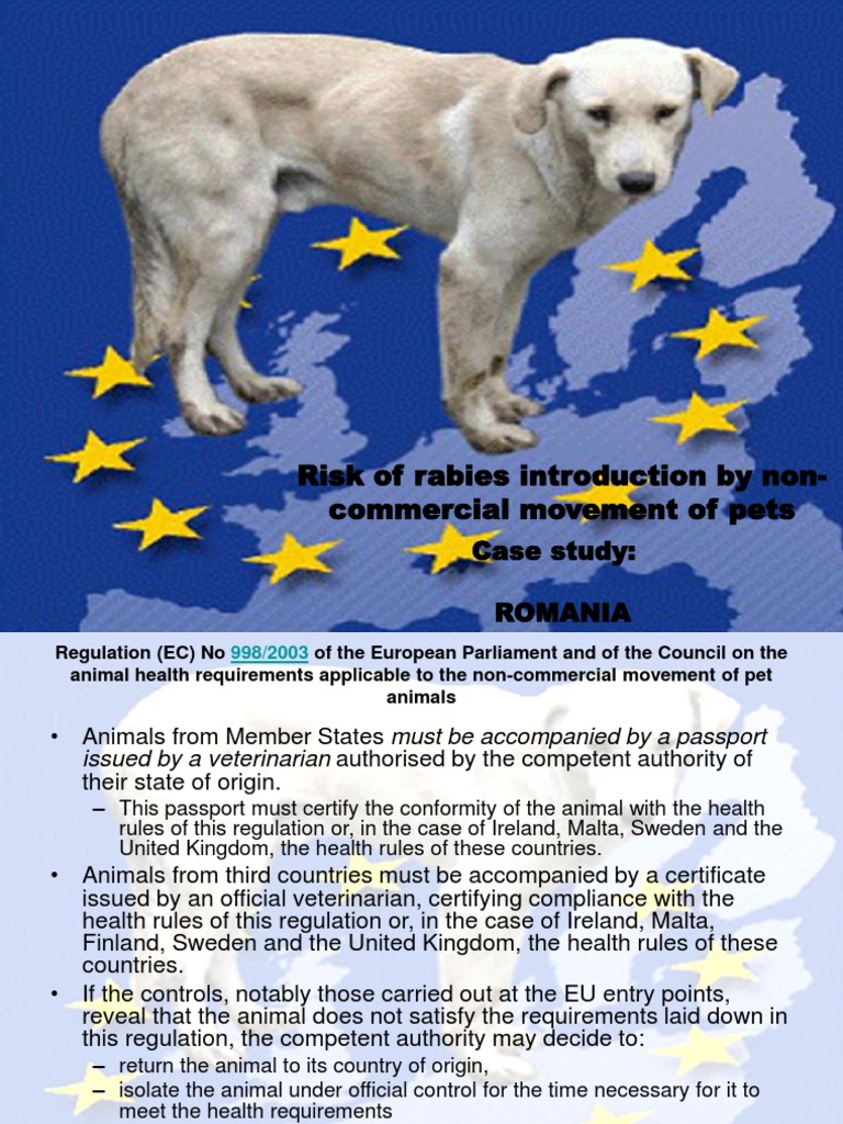 Rabies Antalya | PDF | Eradication Of Infectious Diseases | Rabies