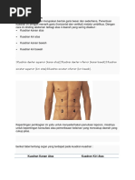 9 Regio Abdomen Dan Organ | PDF