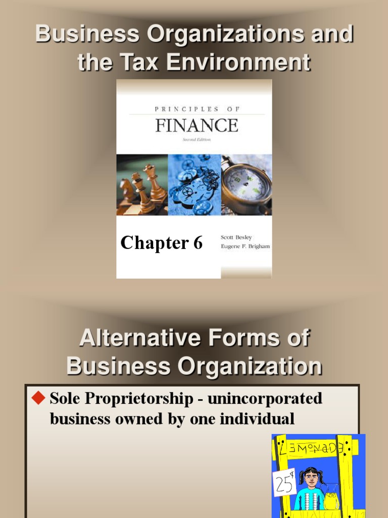 Business Organizations and The Tax Environment | PDF | Income Tax In ...