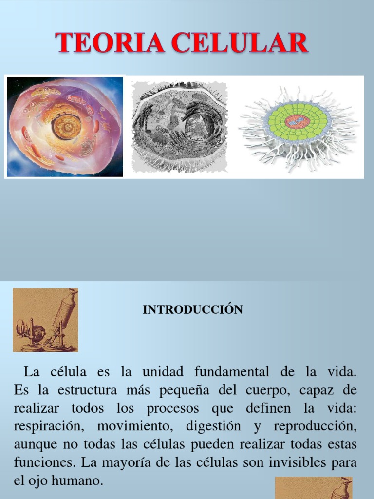 Estructura y Tipos de Células | PDF | Citoplasma | Ribosoma