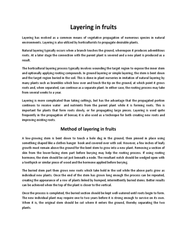 Layering in Plants | PDF | Landscape | Landscape Architecture