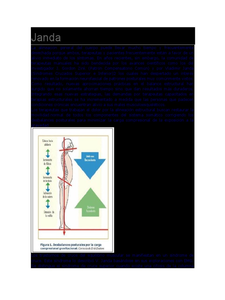 Janda | PDF | Pelvis | Músculo