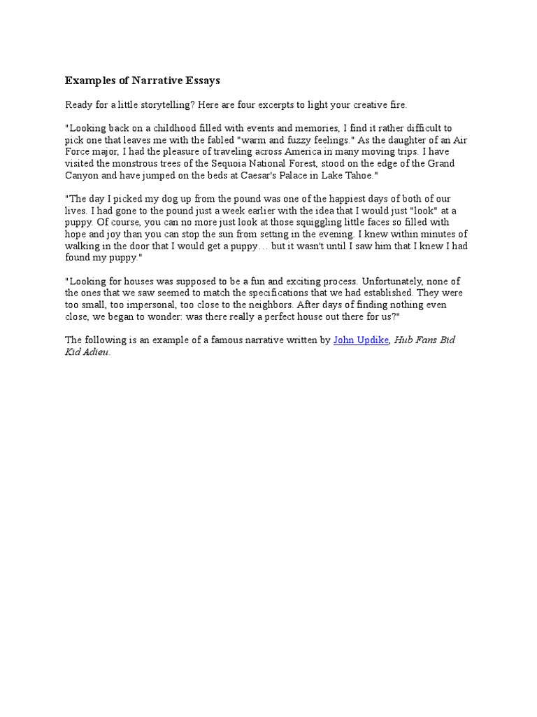 Narrative Essays for Story Lovers | PDF