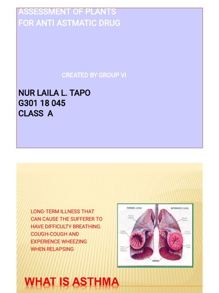 Assessment of Plants For Anti Astmatic Drug: Nur Laila L. Tapo G301 18 045 Class A | PDF