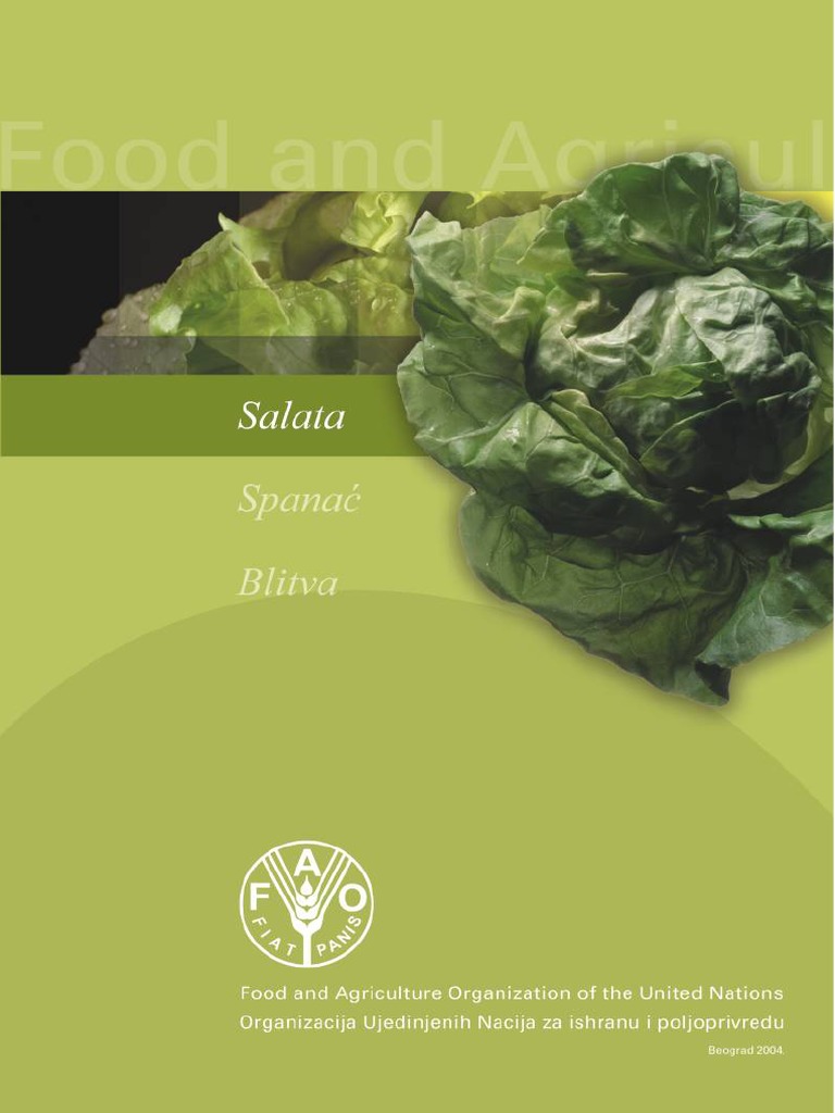 Salata PDF | PDF