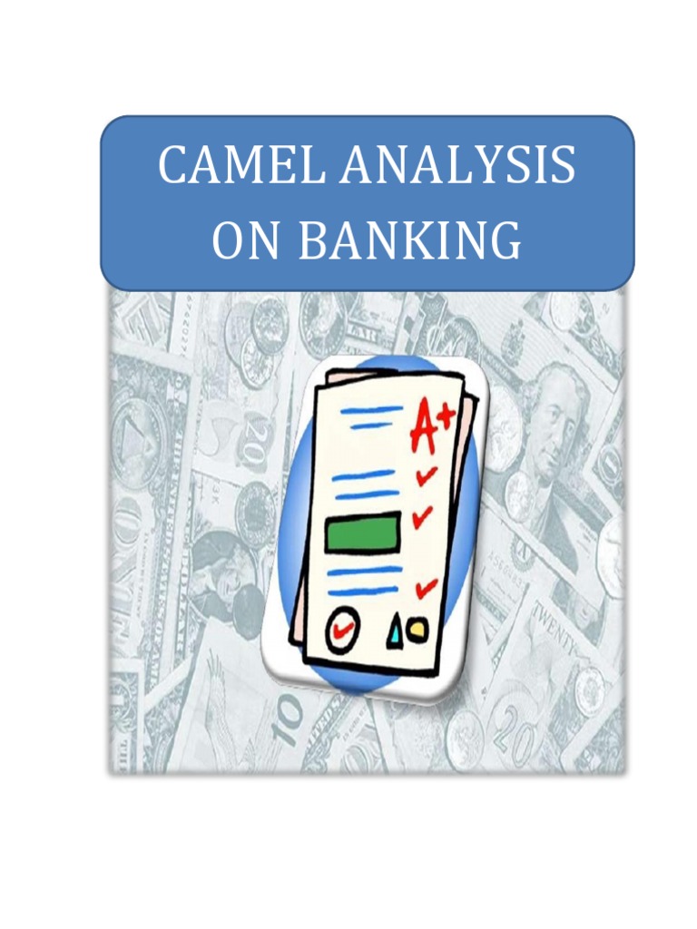 Camel Analysis On Banking Sector | PDF
