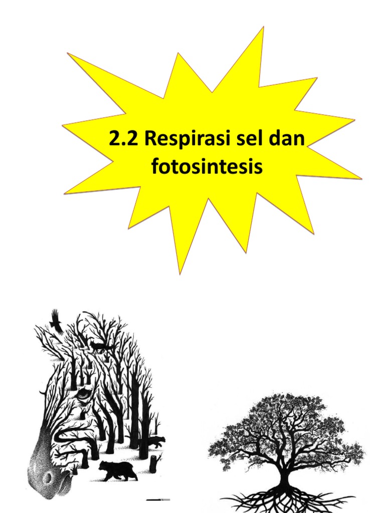 Sains F1 Bab 2 2 2 Pdf