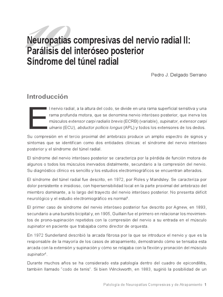 Nervio Interóseo Posterior - Neuropatias 2007 PDF | PDF | Sistema ...
