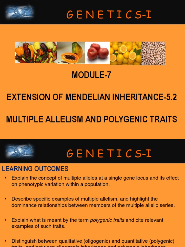 Multiple Allelism and Polygenic Traits | PDF | Dominance (Genetics ...
