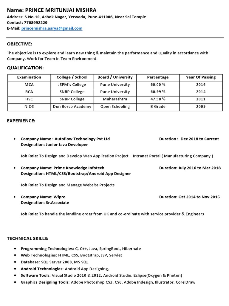 Prince Mishra Resume | PDF | Web Application | Application Software
