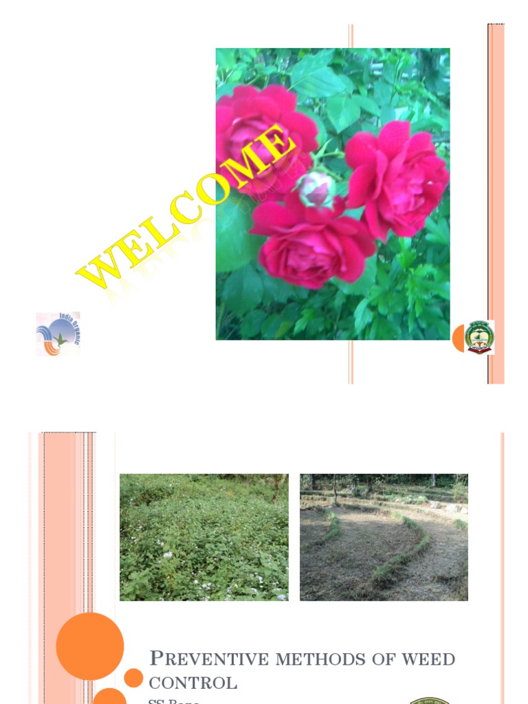 Lecture 20 Methods of Weed Control PDF | PDF | Weed | Agriculture