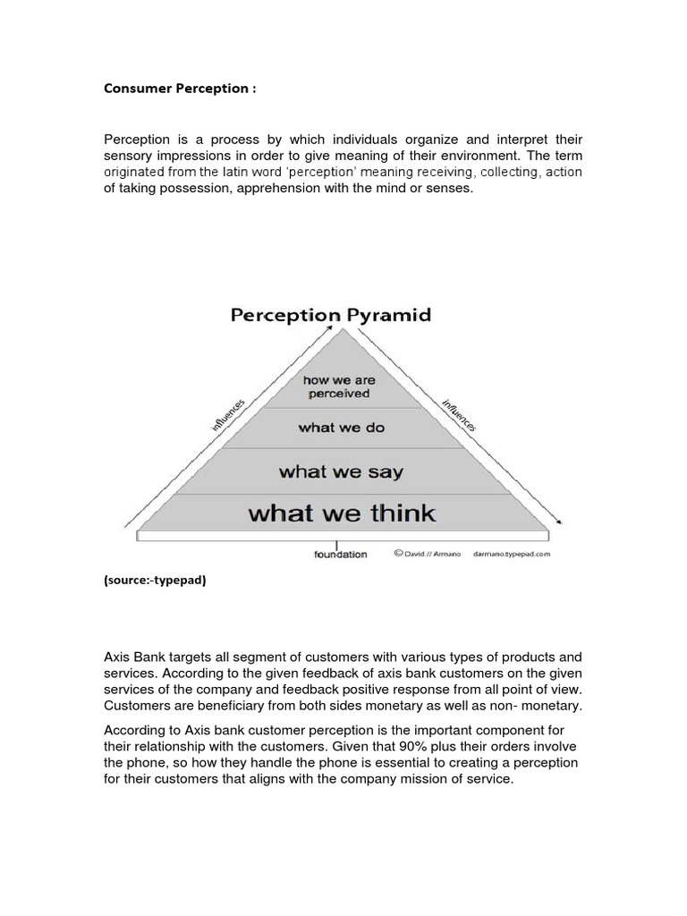 Customer Perception Insights | PDF | Perception | Marketing