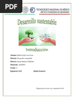 Principios y Dimensiones del Desarrollo Sustentable | PDF | Sustentabilidad | Desarrollo sostenible
