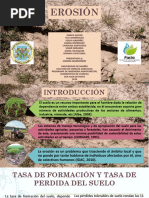 LITOSOLES | PDF | Suelo | Roca (geología)