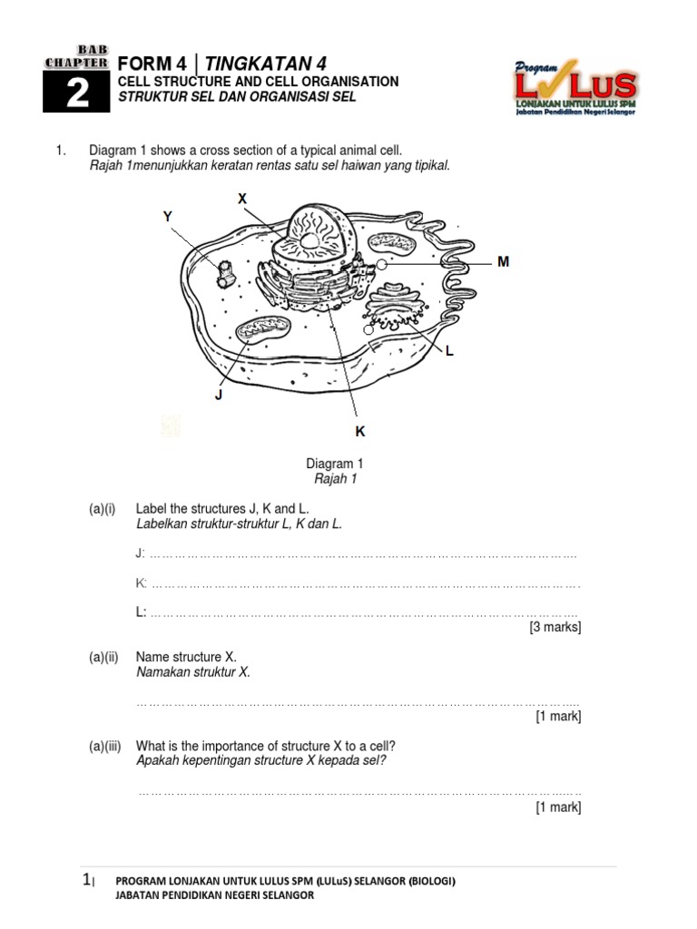 F4 Chapter 2 Cell Structure and Cell Organisation - 1 | PDF