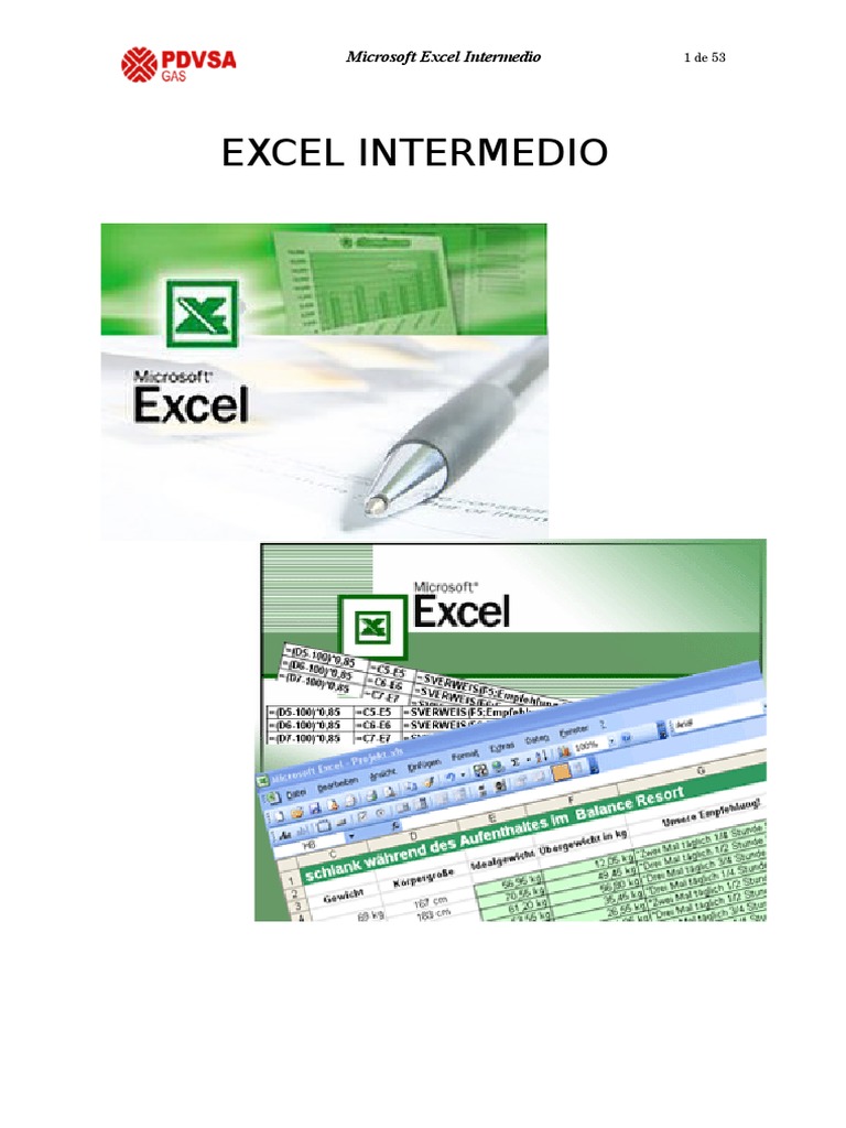 Excel Intermedio | PDF | Microsoft Excel | Hoja de cálculo