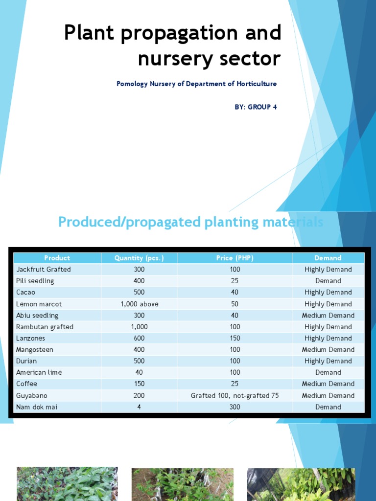 Plant Propagation Strategies and Challenges | PDF | Seedling | Plant ...