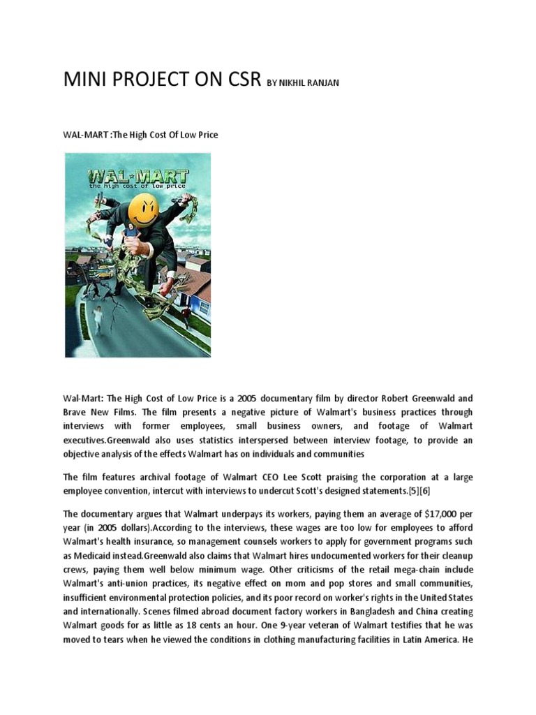 CSR Mini Project | PDF | Corporate Social Responsibility | Economies