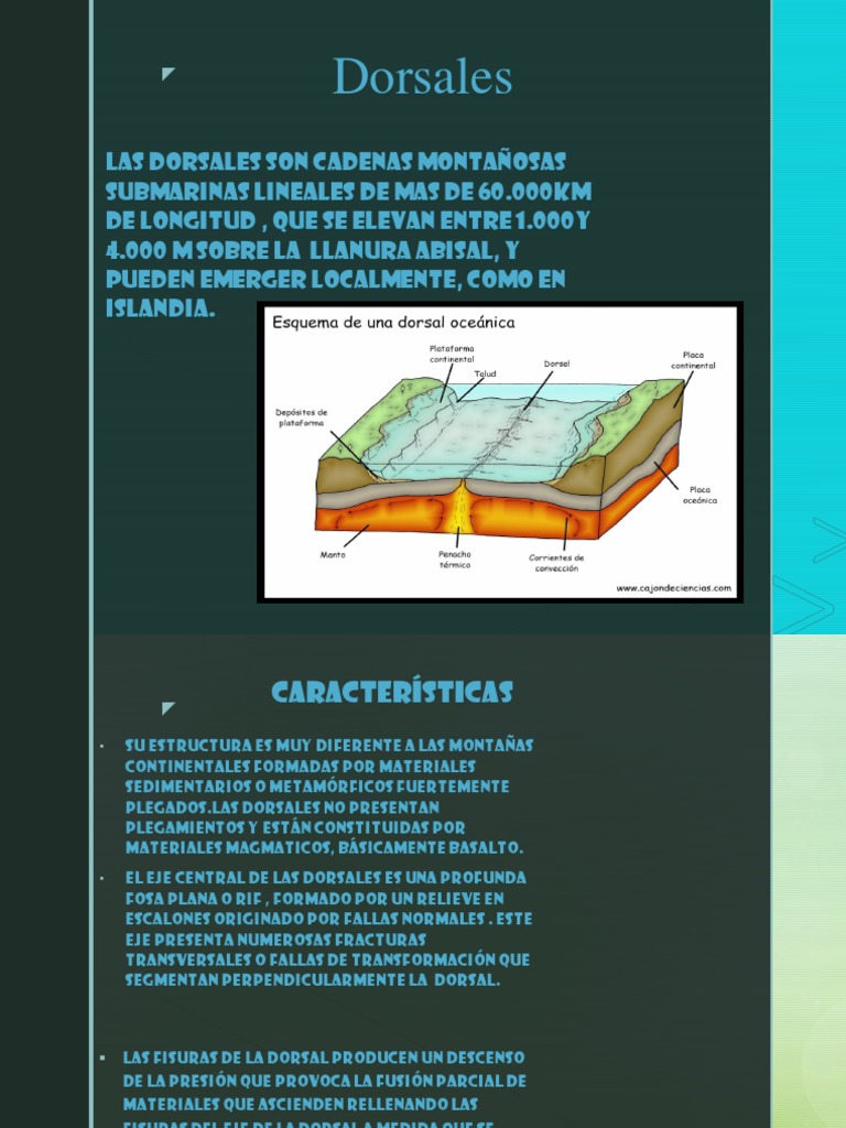 Características de las Dorsales Oceánicas | PDF | Geología | Ciencias ...