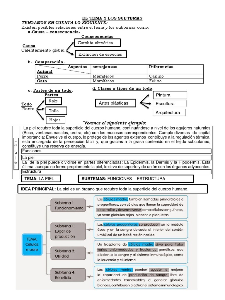 Tema y subtemas en textos educativos | PDF | Piel | Corazón