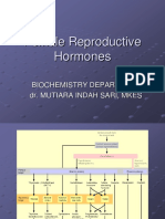 Anatomy Physiology of Reproduction in Female Pigs | PDF | Ovary ...