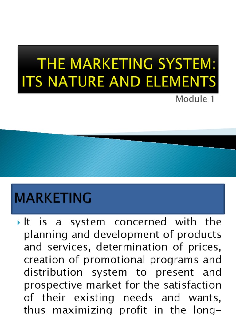 Understanding Marketing Systems | PDF | Marketing | Goods