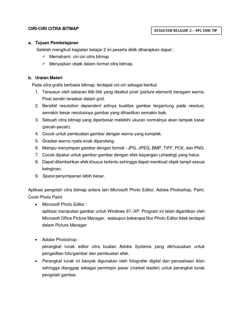 Ciri-Ciri Citra Bitmap | PDF