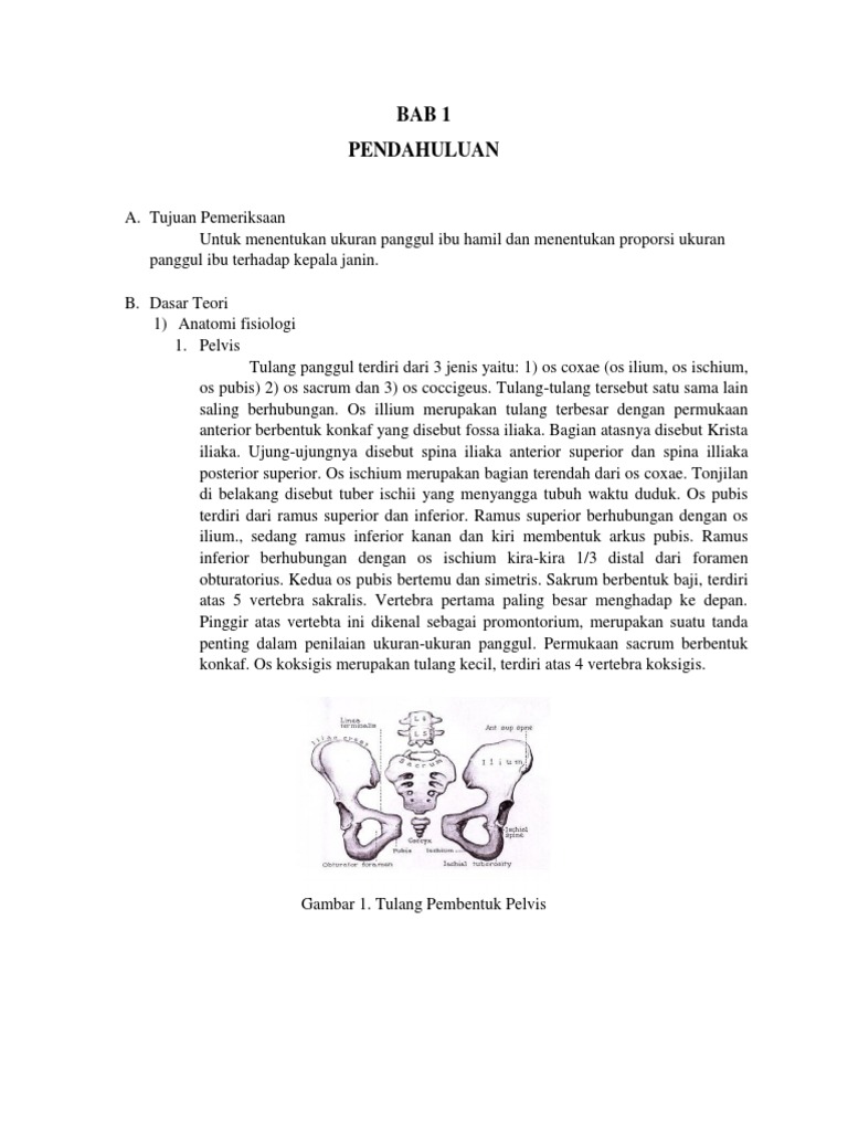 Revisi Pelvimetri | PDF