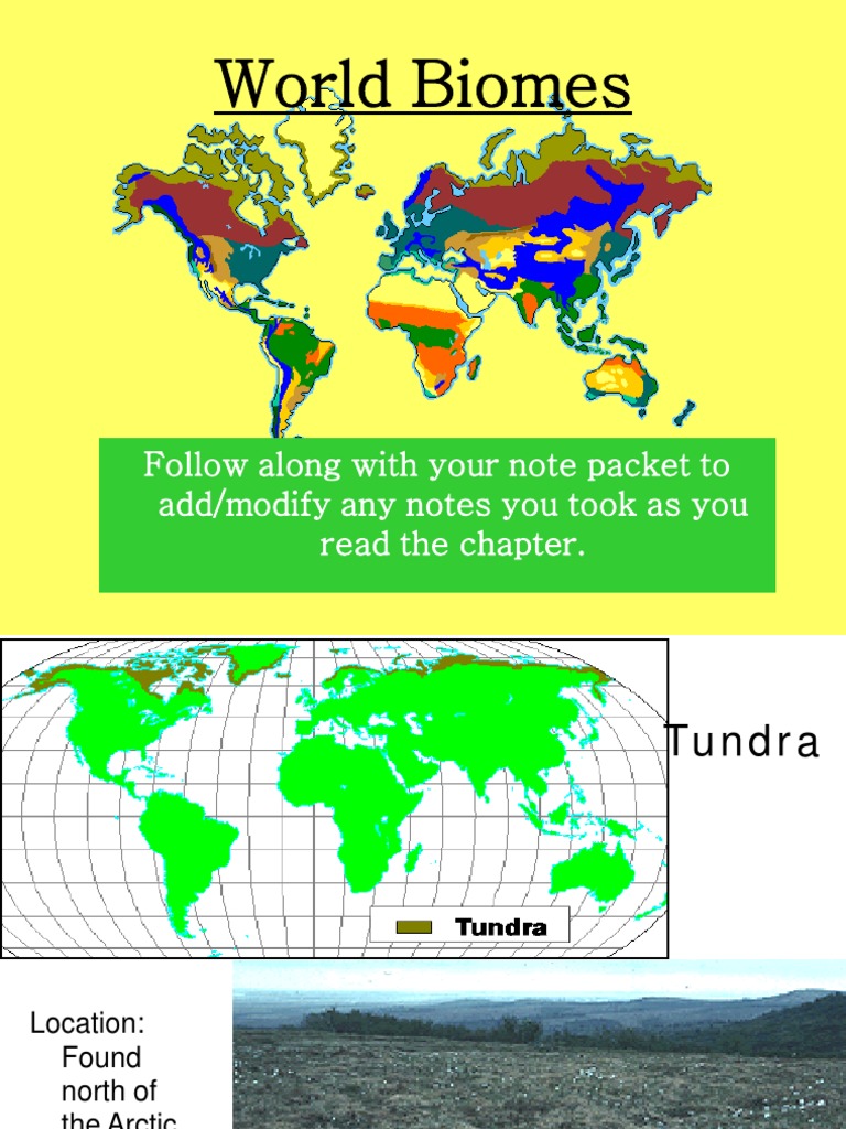 Biome Information Packet | PDF | Forests | Rainforest