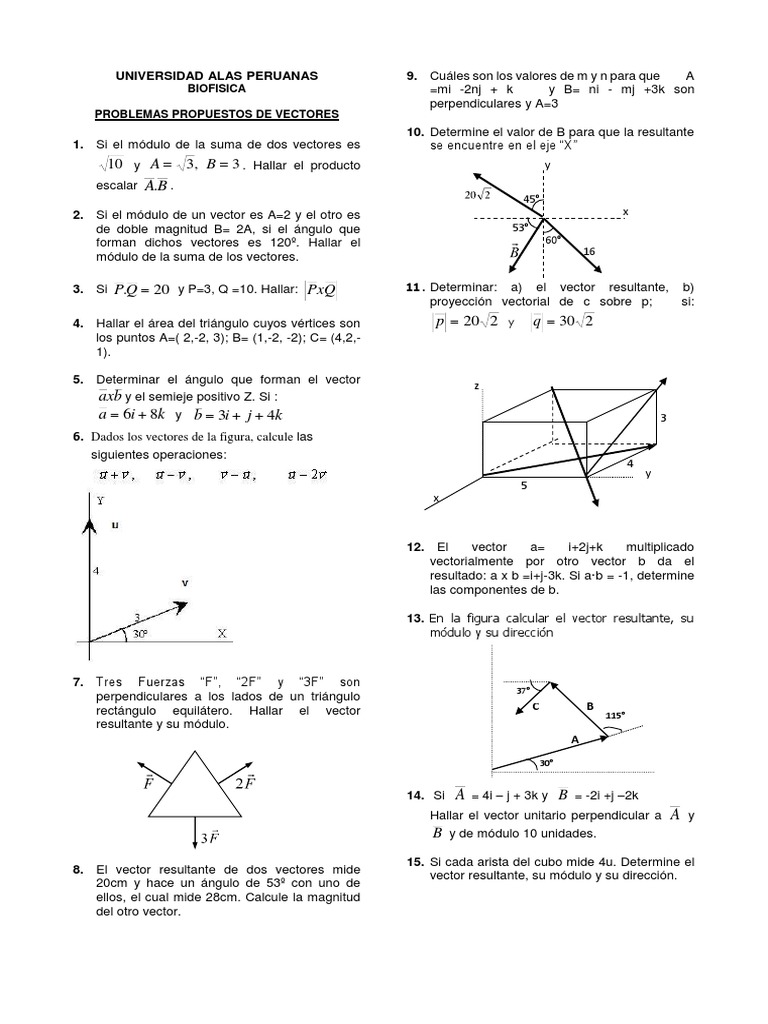 VECTORES | PDF | Vector Euclidiano | Triángulo