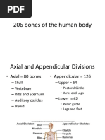 Human Skeleton All Bones Chart | PDF | Anatomy | Musculoskeletal System