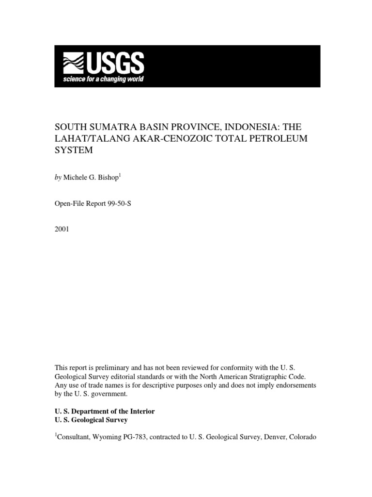 South Sumatra Basin Province Indonesia The Petroleum System | PDF ...