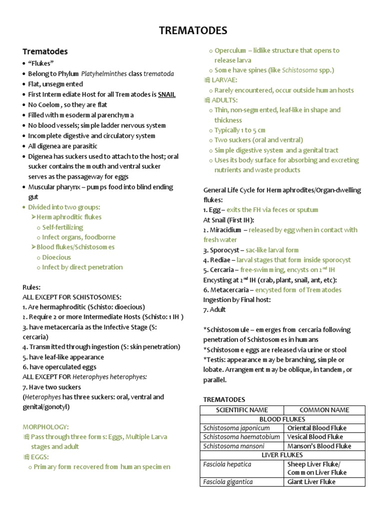 Trematodes | PDF | Medical Specialties | Wellness