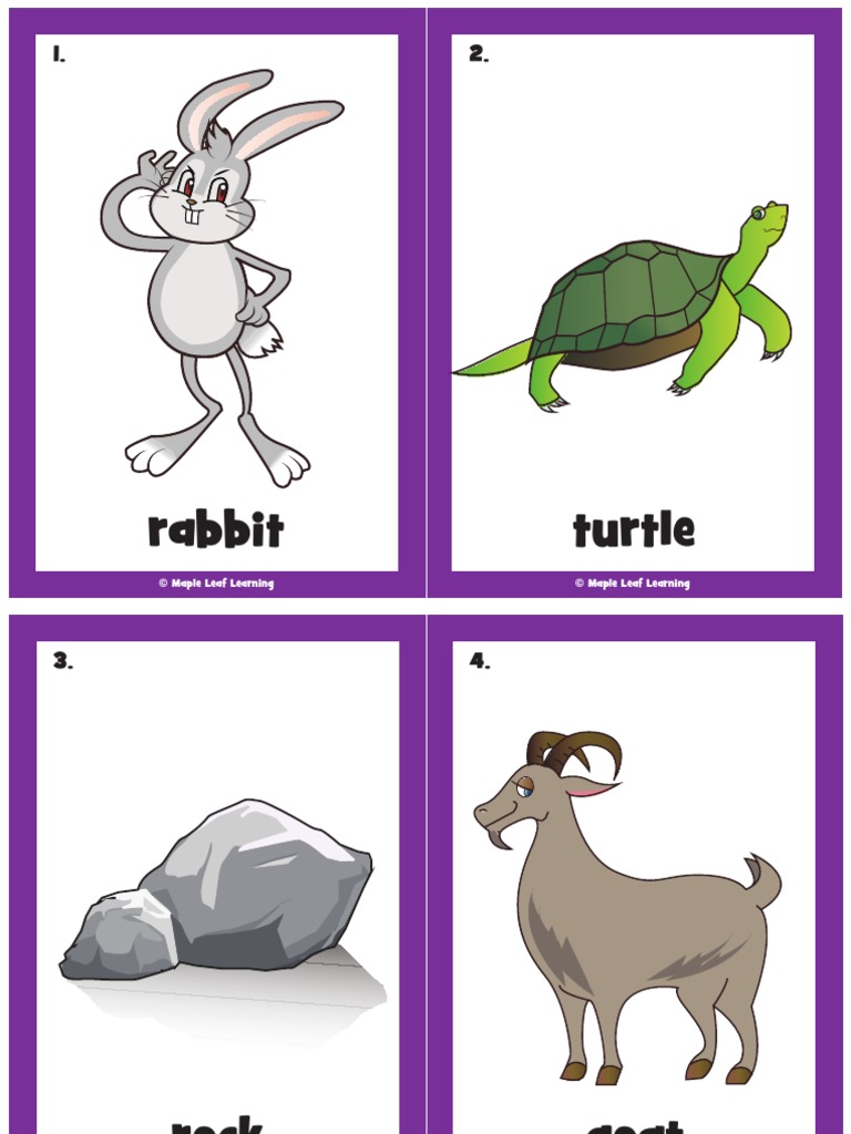 The Rabbit and The Turtle Book Flashcards PDF | PDF