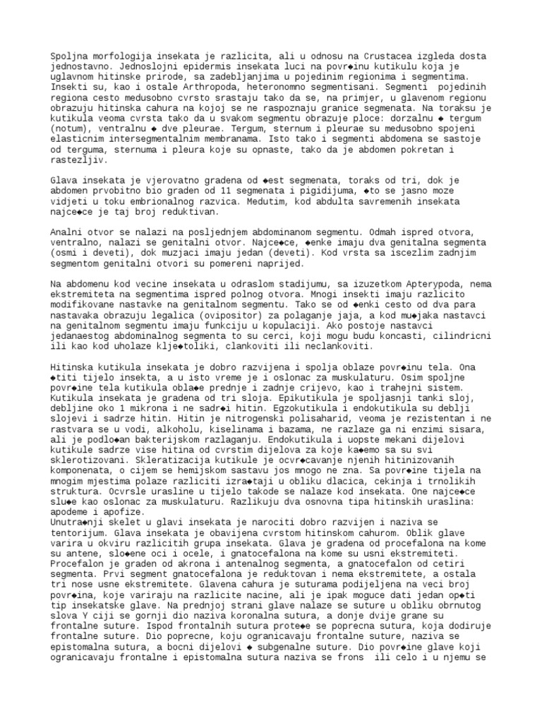 Anatomija I Morfologija Insekata | PDF