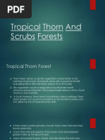 Forest Ecosystem Pdf Forests Trees