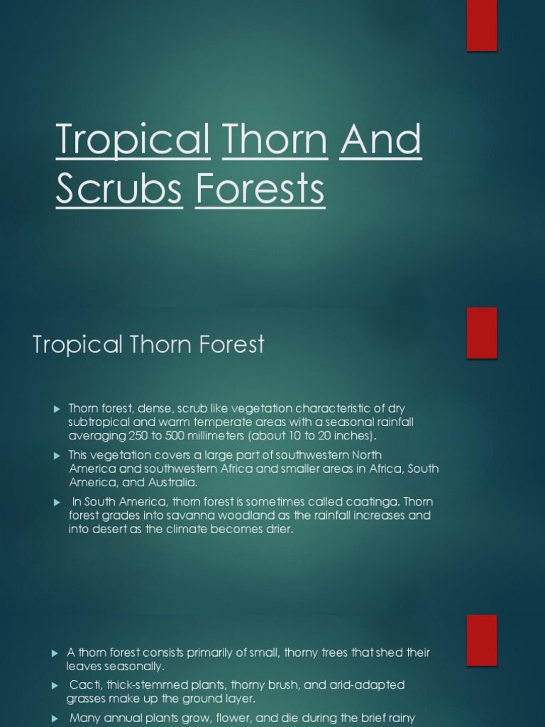Tropical Thorn and Scrubs Forest | PDF | Tropics | Forests