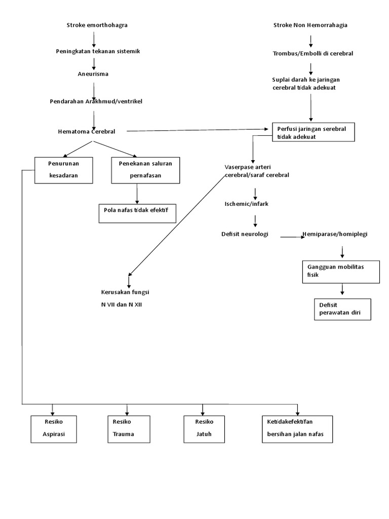 Pathway DM | PDF