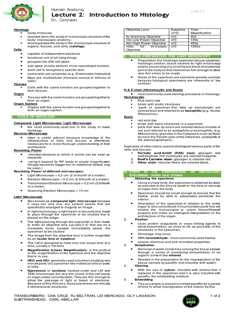Introduction To Histology | PDF | Histology | Staining