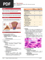 Trans Template | PDF | Arial | Typefaces