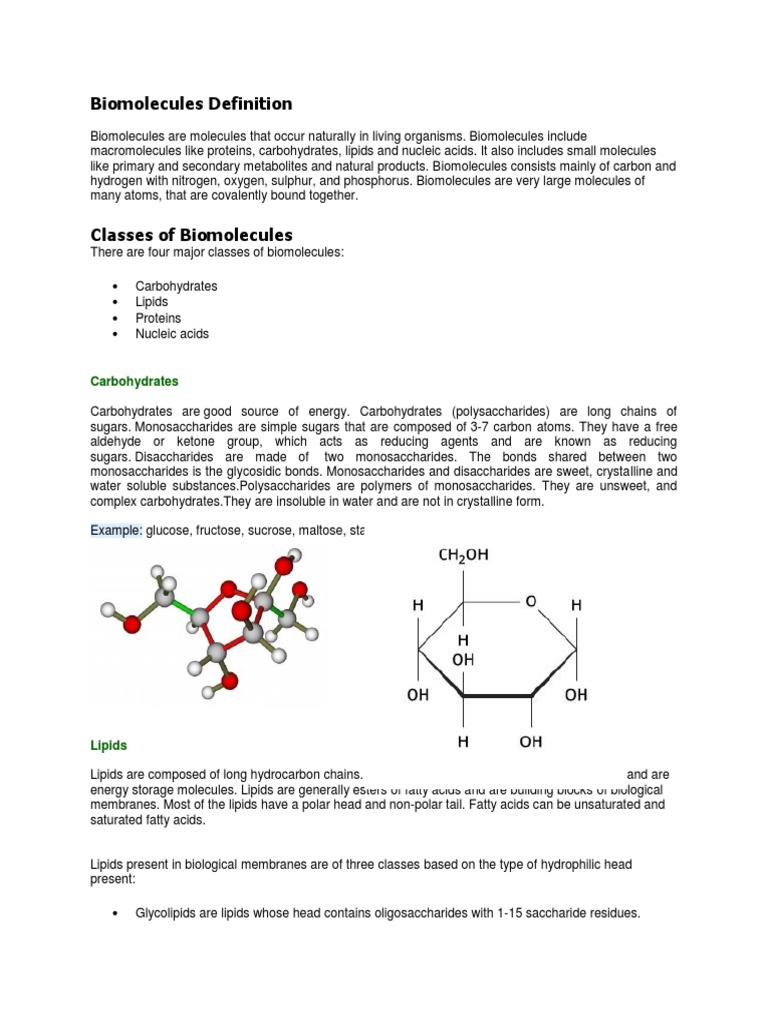 Biomolecules | PDF | Biomolecular Structure | Biomolecules