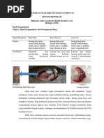 Ichtiologi Anatomi Pada Ikan-1 | PDF | Sains & Matematika
