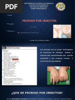 Prúrigo Por Insectos | PDF